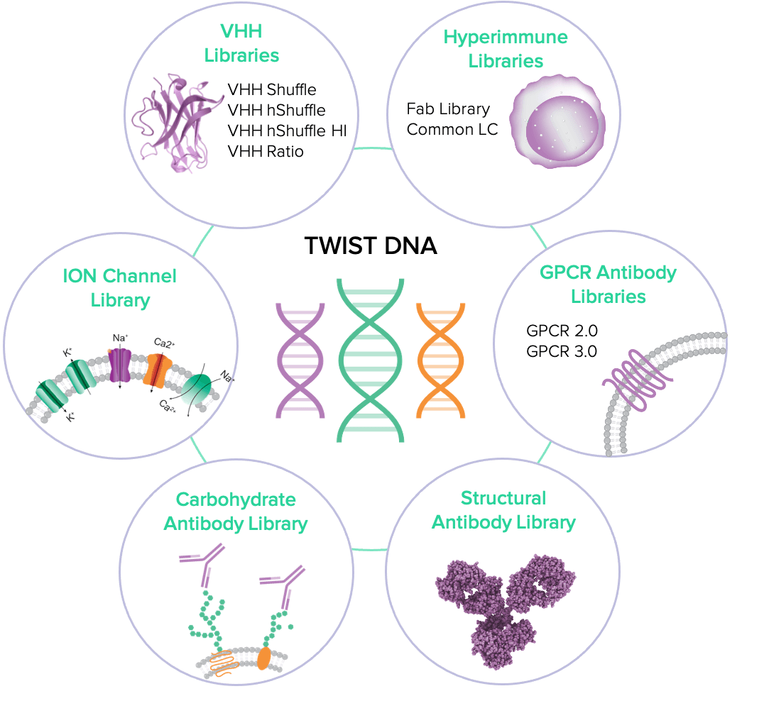 The Library of Libraries: a Next-Generation Approach to Discover New Antibody Medicines | Twist ...